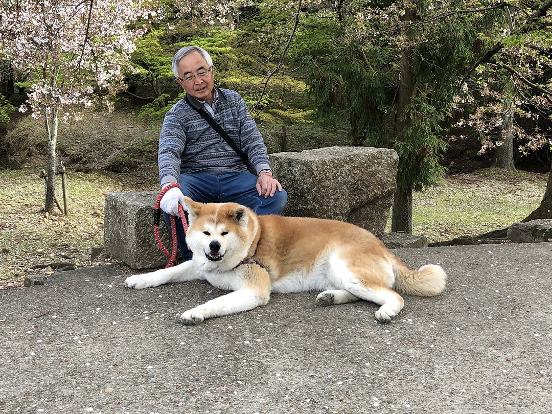 Herten en Boeddhisten | Reisverhaal | Peter Botman’s reisblog