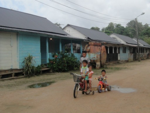 plantage Peperpot | Foto | Around the world in many days