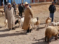 MAROKKO | Foto's | Pieter en Jeanne