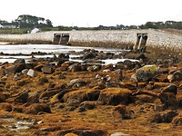 Maanlandschap op Gorumna | Foto | Pieter en Jeanne