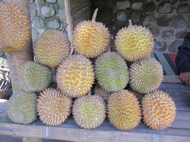 Doerian | Foto | Pierre en Margriet munnichs’s reisblog over Indonesië