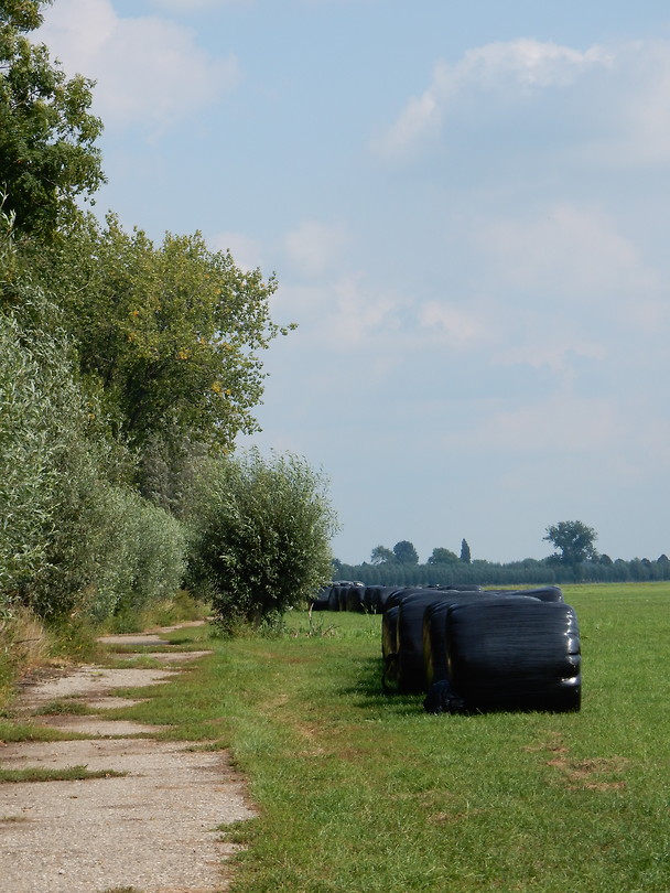 Kuilgras! | Foto | Petra Eleftheriadis’s reisblog