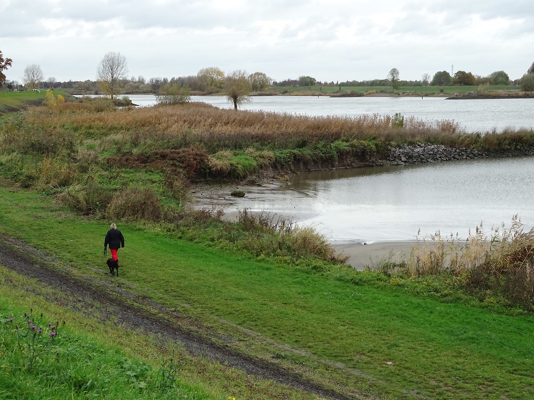 Uitwaaien langs rivier de Lek! | Foto | Petra Eleftheriadis’s reisblog
