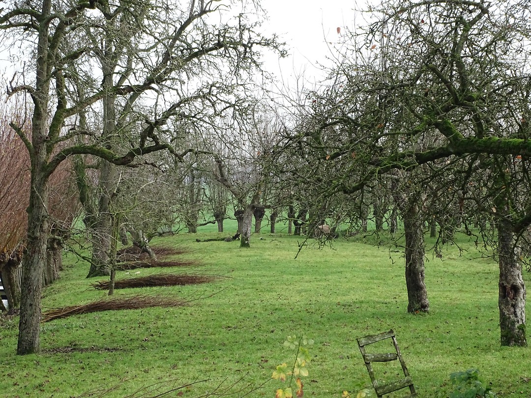 Boomgaard in ruste! | Foto | Petra Eleftheriadis’s reisblog
