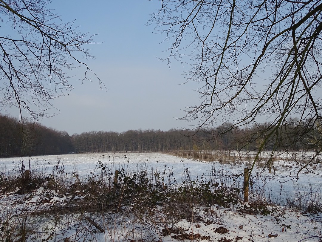 Winters landschap! | Foto | Petra Eleftheriadis’s reisblog