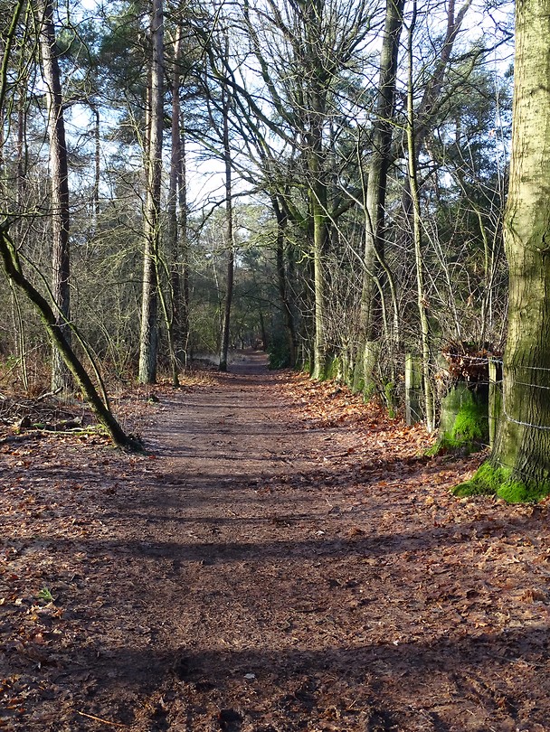 Mooie Paden! | Foto | Petra Eleftheriadis’s reisblog