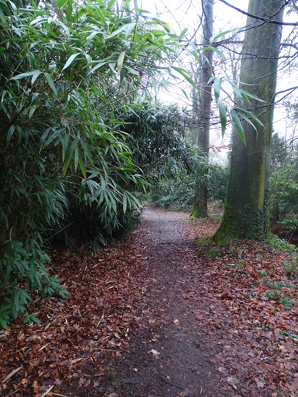 Leuke paden! | Foto | Petra Eleftheriadis’s reisblog