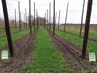 Kuilgras! | Foto | Petra Eleftheriadis’s reisblog