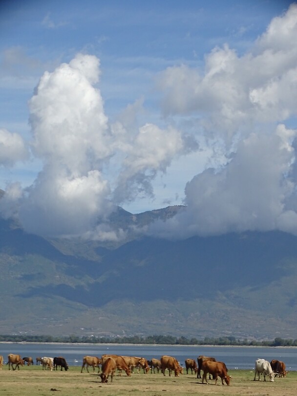 Grazen! | Foto | Petra Eleftheriadis’s reisblog