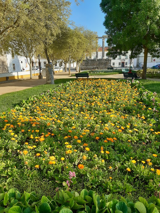 Evora bloemenpracht | Foto | RiFra’s reisblog