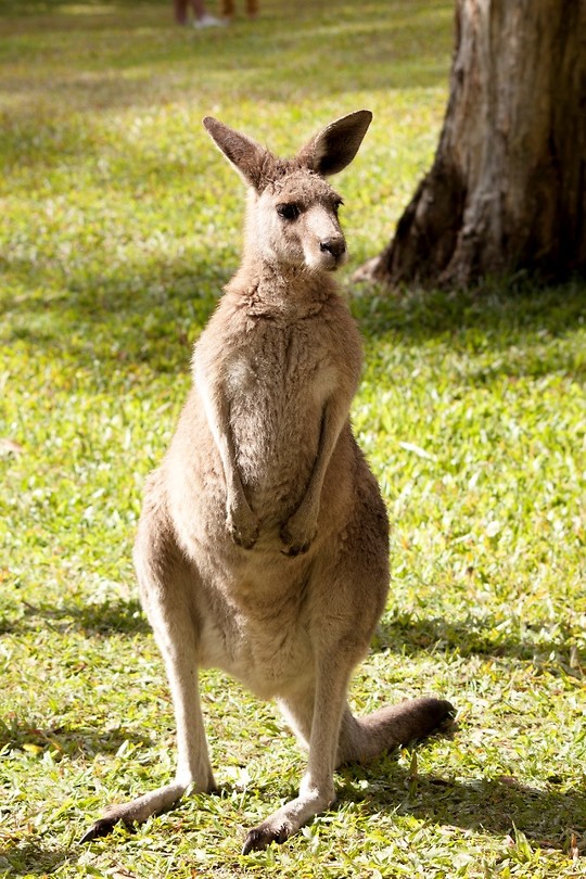 Algemeen | Foto's | Roland en Anita's reisblog Nieuw Zeeland