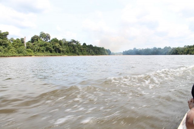 Reis Surinamerivier | Foto's | Saakje Kraak’s reisblog