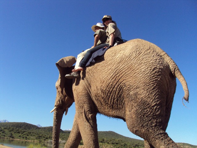 olifant rijden op buffelsdrift | Foto | Sam's reisblog Zuid-Afrika