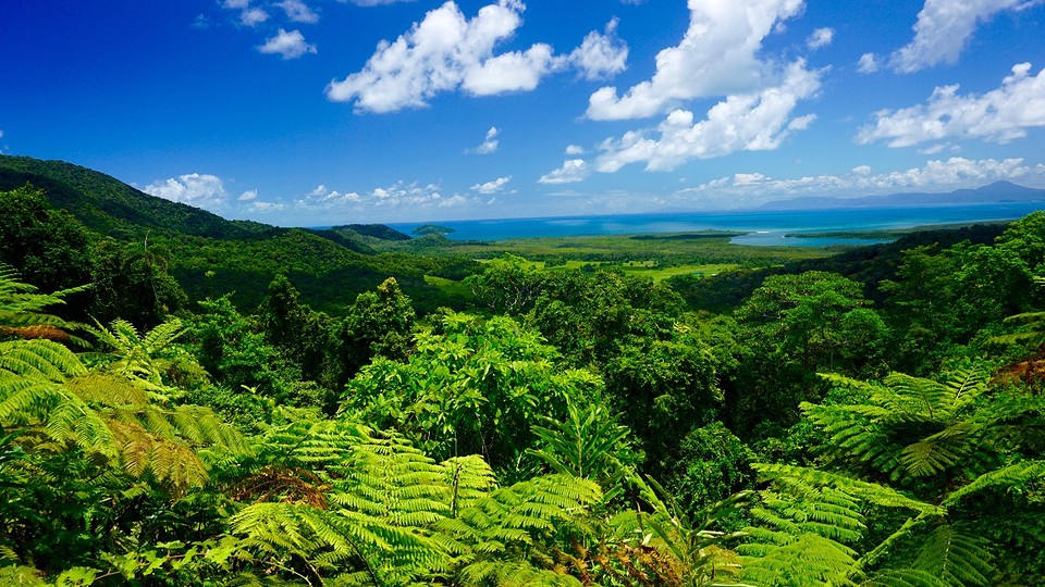 Oerwoud 3 | Foto | Sjoerd Timmer’s reisblog