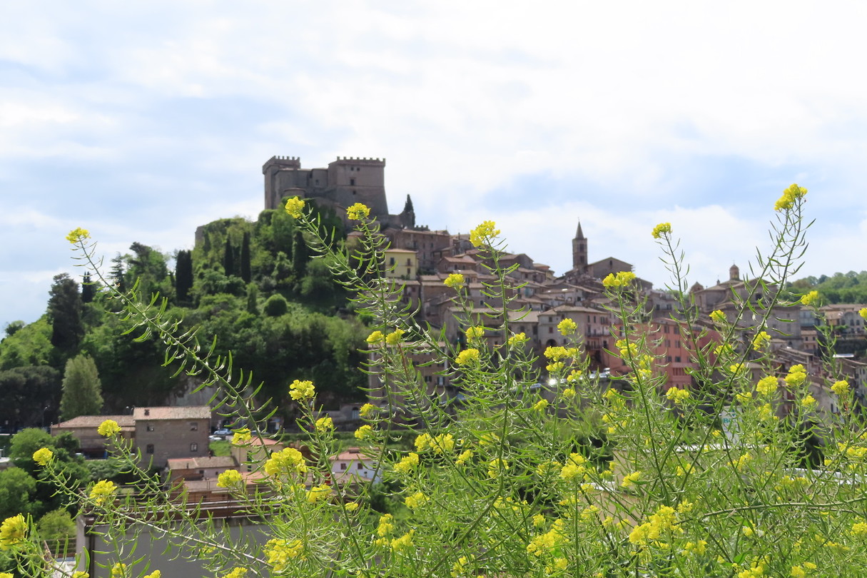 Rome | Foto's | Blog van Ronald