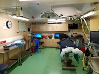 Recovery | Foto | Suzanne's reisblog