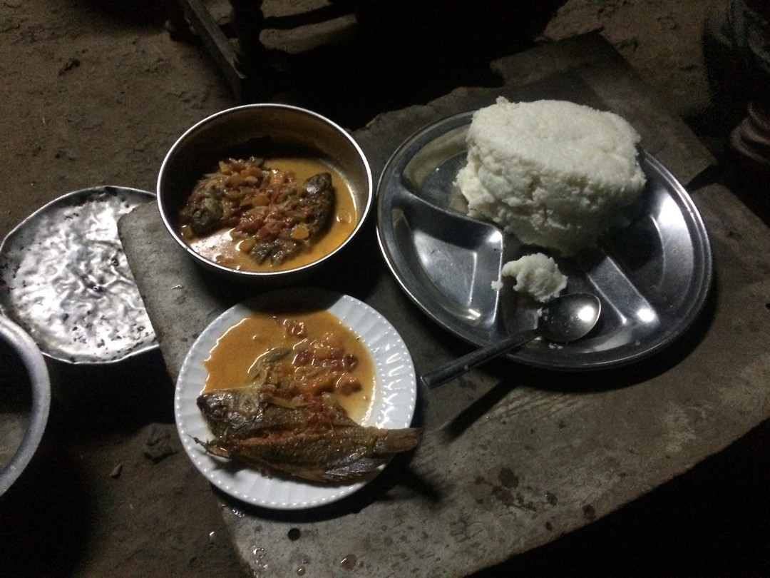 Ugali met samaki | Foto | Sylvia Sassen’s reisblog