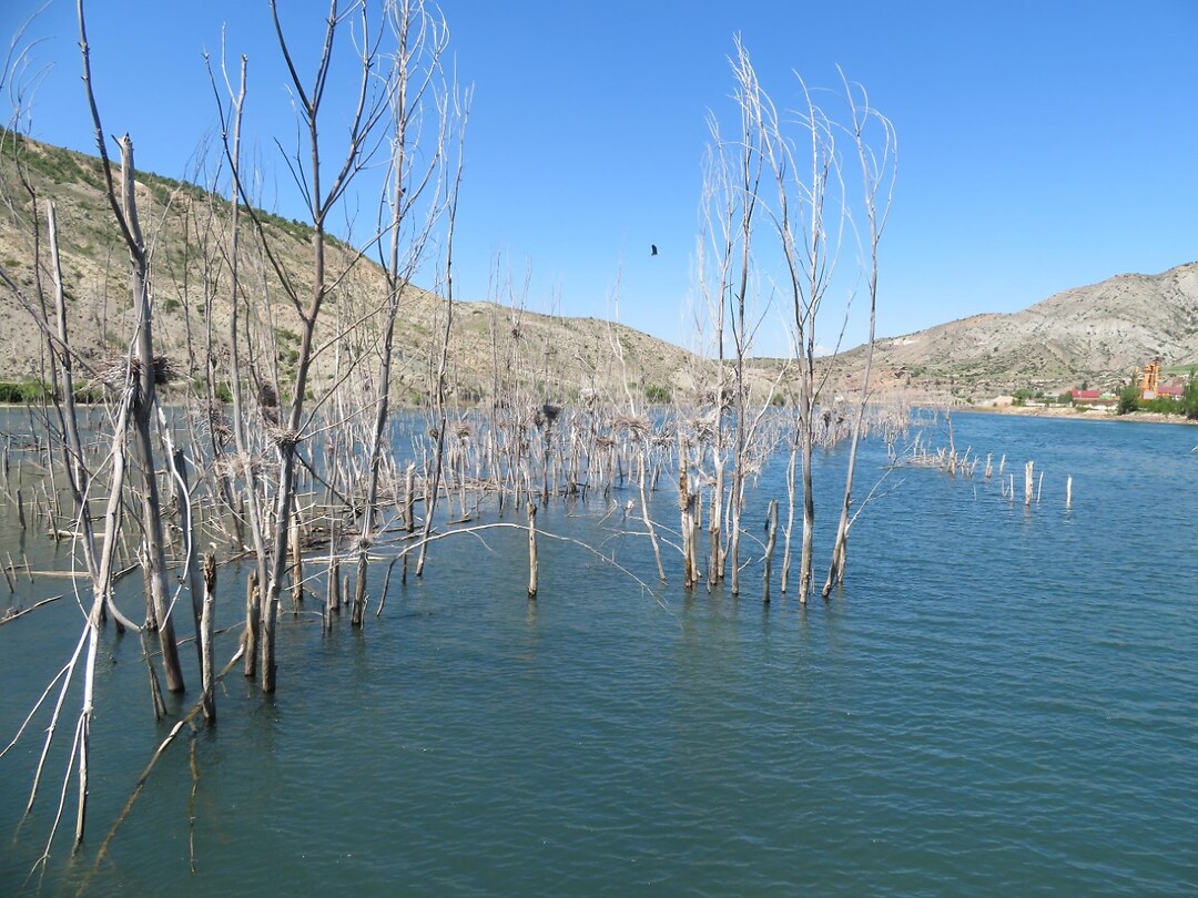 Breuklijn in de aarde | Foto's | Theo van Welie’s reisblog