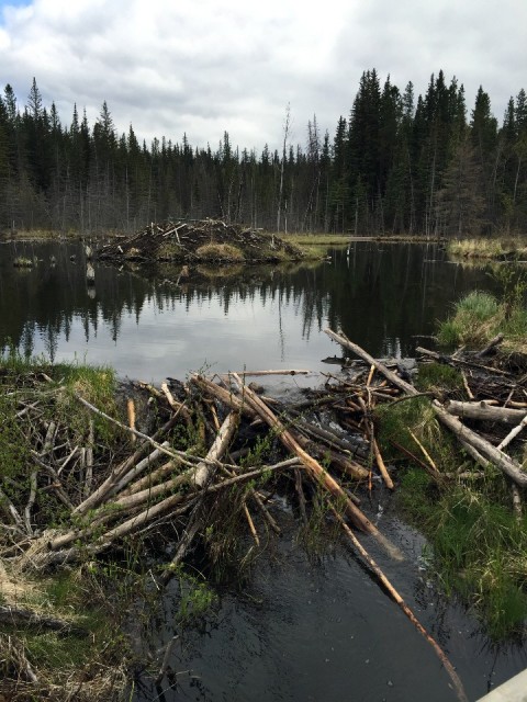 bever burcht | Foto | Helma Toonen Dekkers Peeters’s reisblog