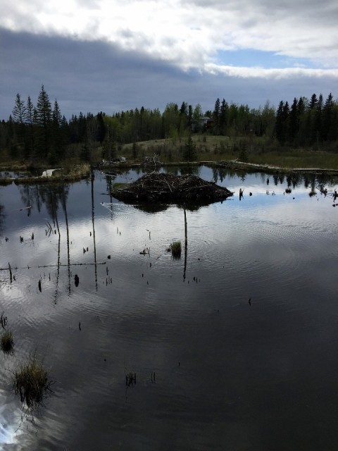 bever burcht | Foto | Helma Toonen Dekkers Peeters’s reisblog