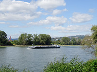 Nationaal Park Grote Peel | Foto