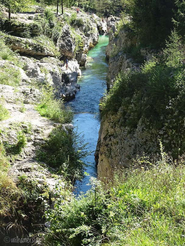 Velika Korita, ravijn in de Soča | Foto