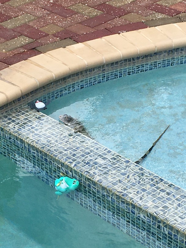 Druk programma | Reisverhaal