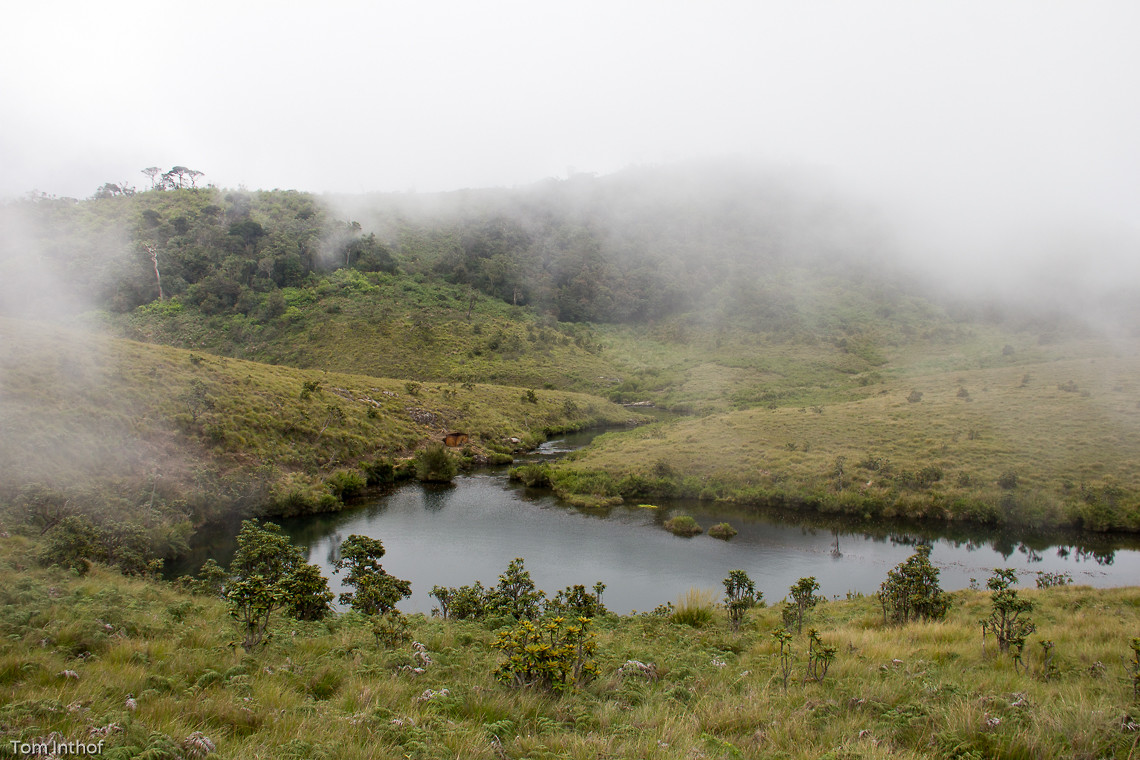 mist over de Horton Plains | Foto | Maya Theunissen’s reisblog