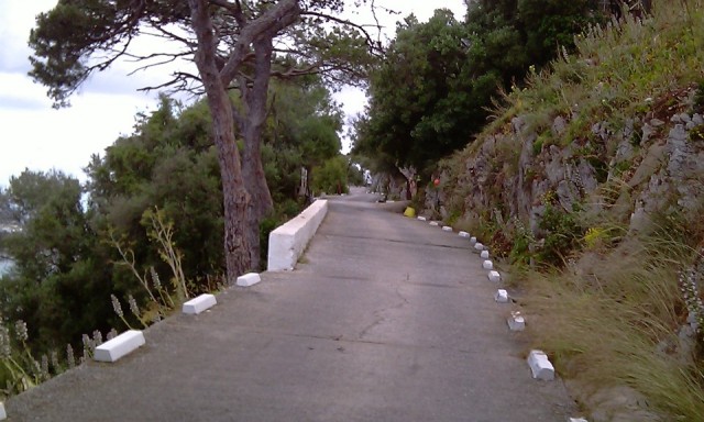 we beklimmen de rots van Gibraltar | Foto | Tonny op reis