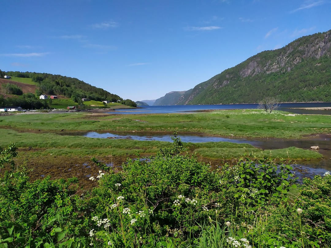 Noorwegen, Puur natuur 5-16 juni 2019. Kras natuurlijk (4 ...