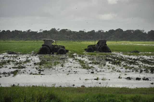 Rijstvelden | Foto | Travel in jeans