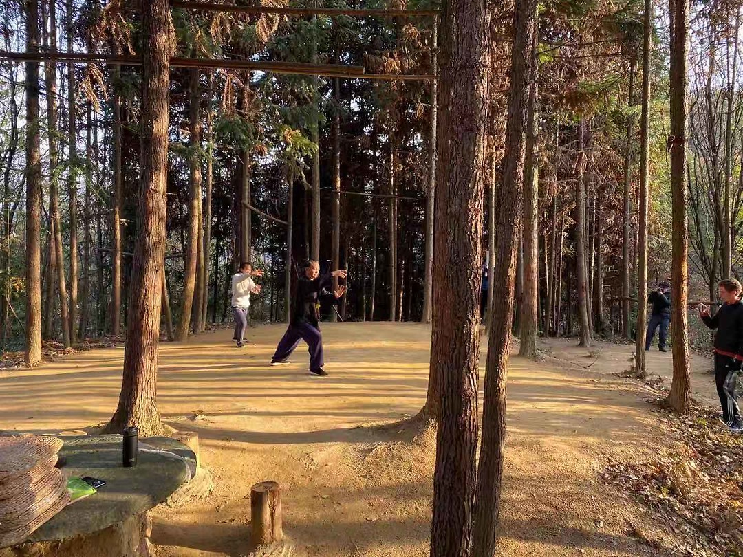 Training Ground | Foto | Trein maar fijn - Iris & Bouke