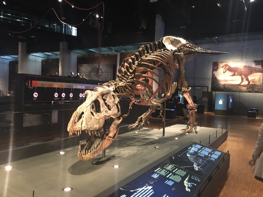 IMG_2644 | Foto | T. rex Trix reisblog