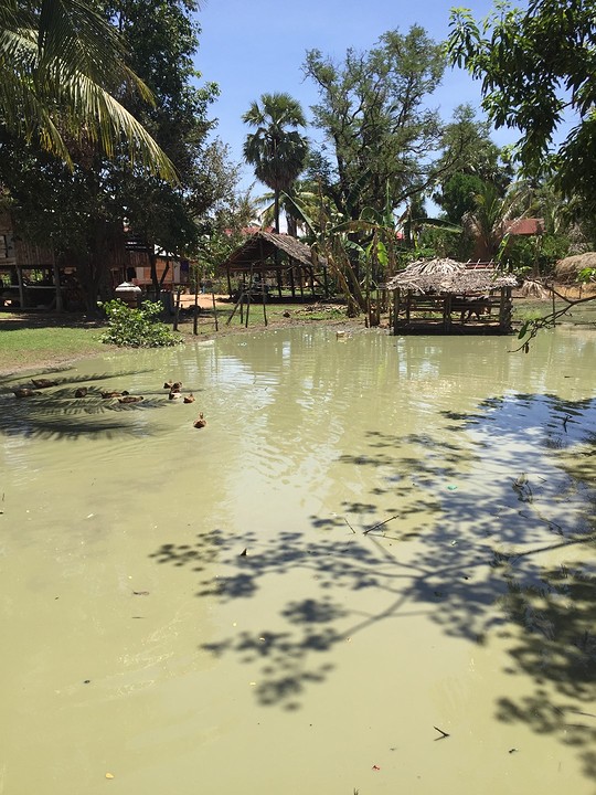 Groen meertje | Foto | VanDillen2Cambodja2016’s reisblog Leo & Erik op ...