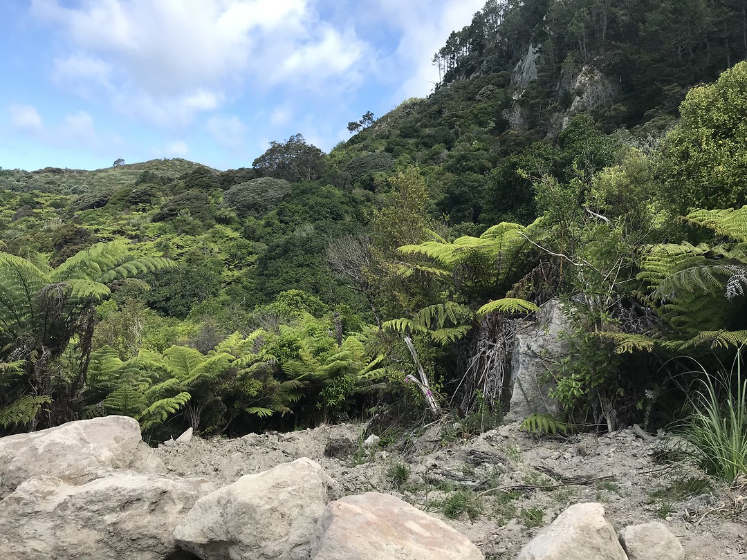 Hot water Beach (Cathedral Cove Walk) | Foto | Veerle van Balkum’s reisblog