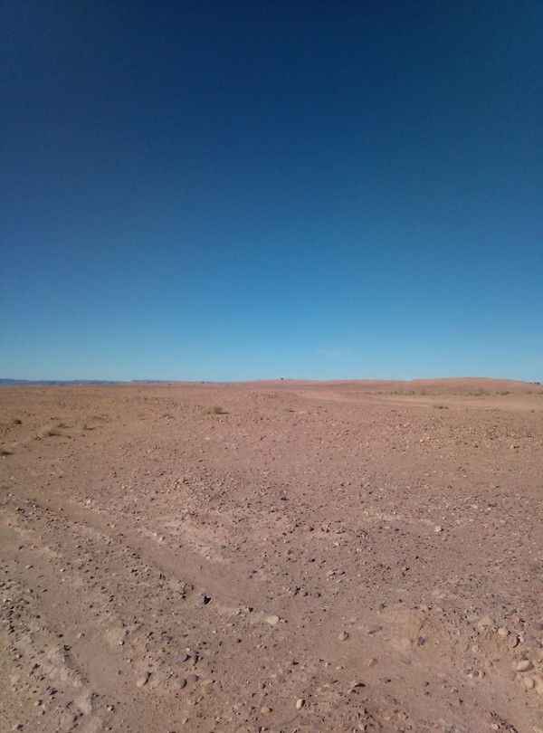 De woestijn | Foto | Europatoer Erik en Wilma