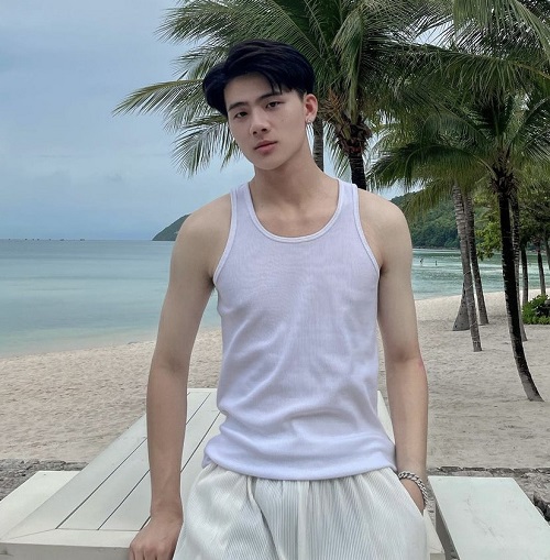 Babelcube – Vo hoang nhat