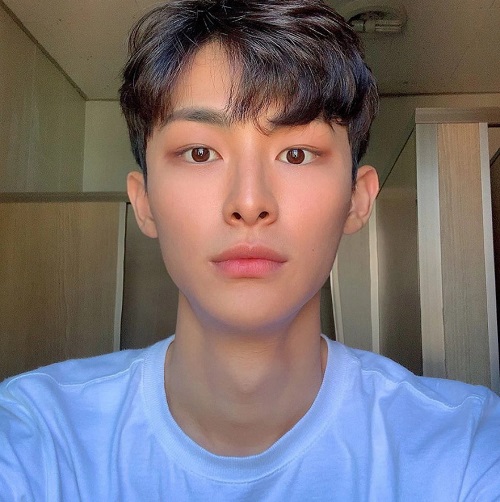 Babelcube – Đào duy lâm