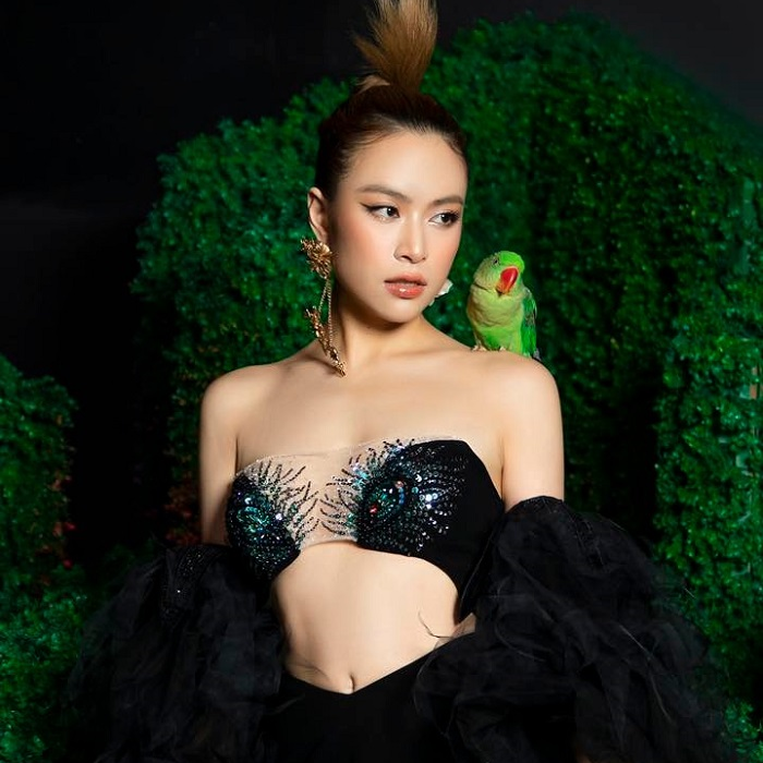 Babelcube – Hoàng thùy linh official