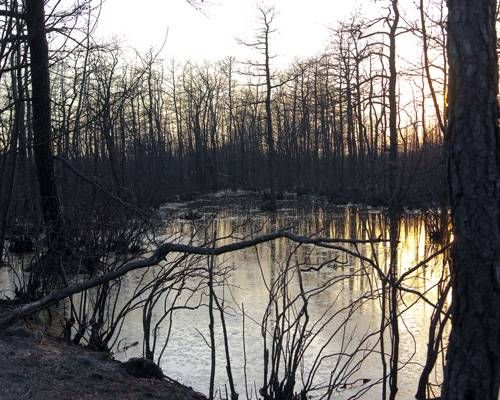 10 Top Haunted Trails To Go Hiking