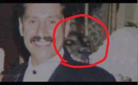 7 Paranormal Creatures That Will Haunt Your Dreams