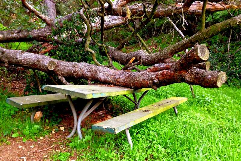 The Haunted Picnic Table #29 at Griffith Park