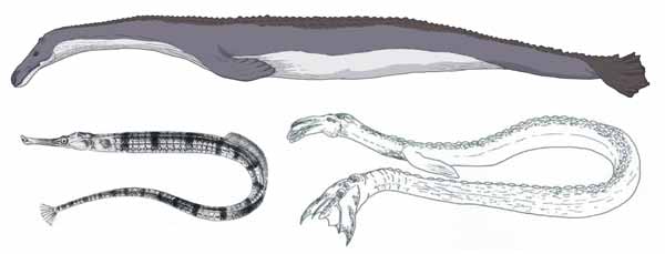 10 Most Mysterious Cryptids of California