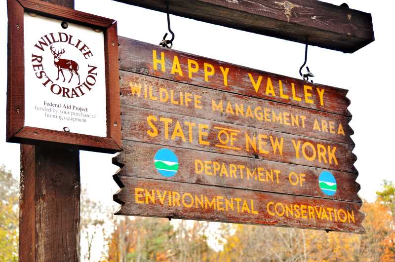 10 Scariest Haunted Attractions in New York