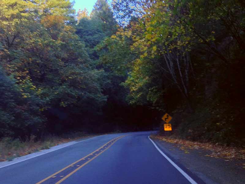 10 Scariest Haunted Roads In Northern California