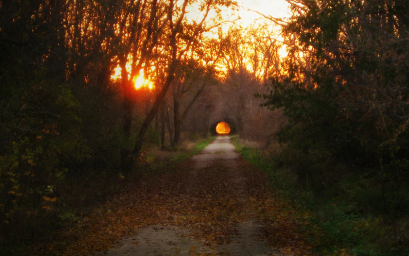 Haunted Stories: The Chilling Path to the Portal to Hell