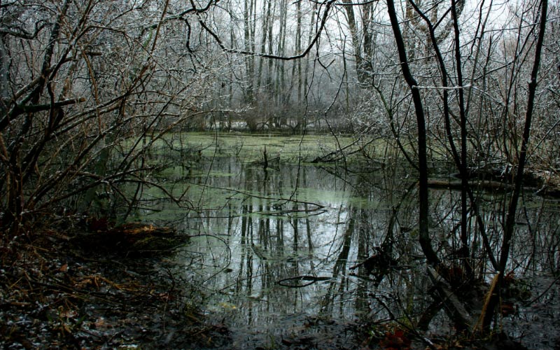 Ghostly Bodies Continue to Float Down this California Creek