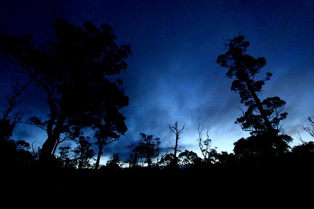 Seeing Shadows? (Discover What It Means and What You Should Do)