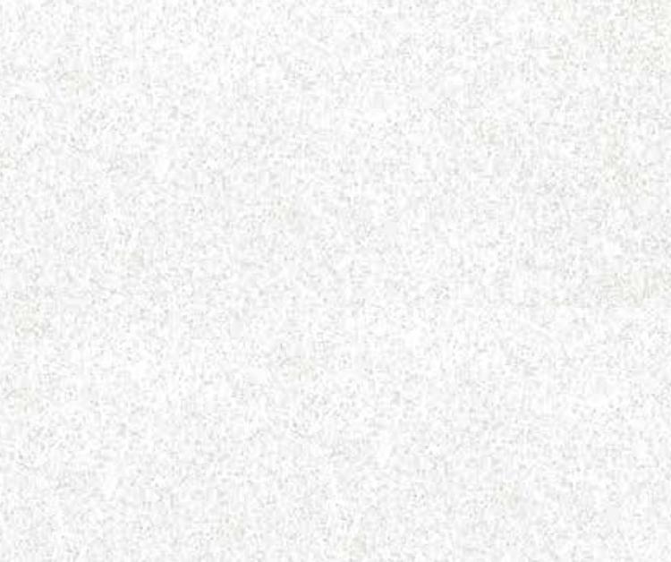 Certainteed Acoustical Tile