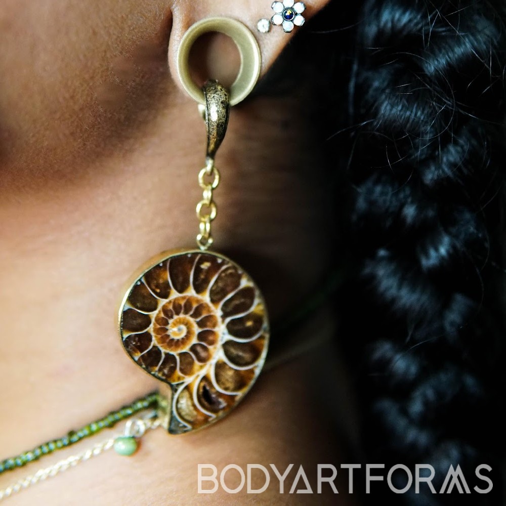 What You Need To Know About Ear Weights